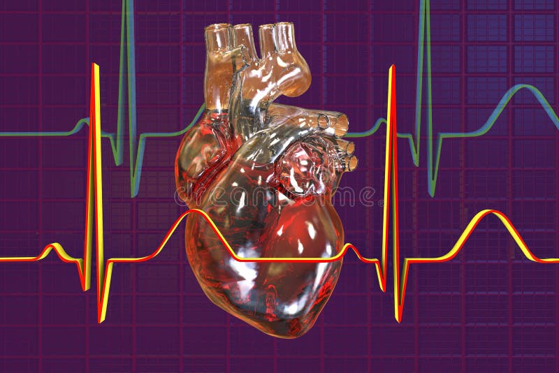 Human Heart on Background with ECG Stock Illustration - Illustration of ...