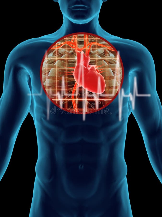Human Heart Beat stock illustration. Illustration of generated - 22332855