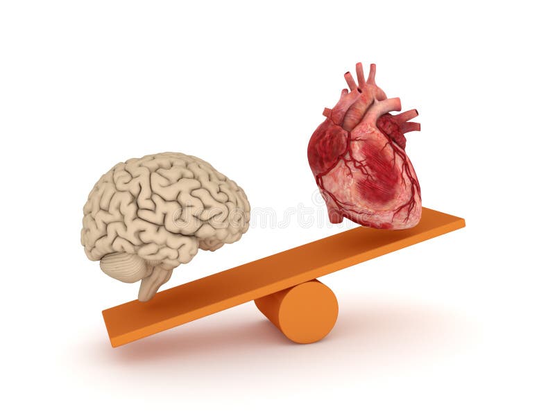 Human heart and brain. stock illustration. Illustration of anatomical ...