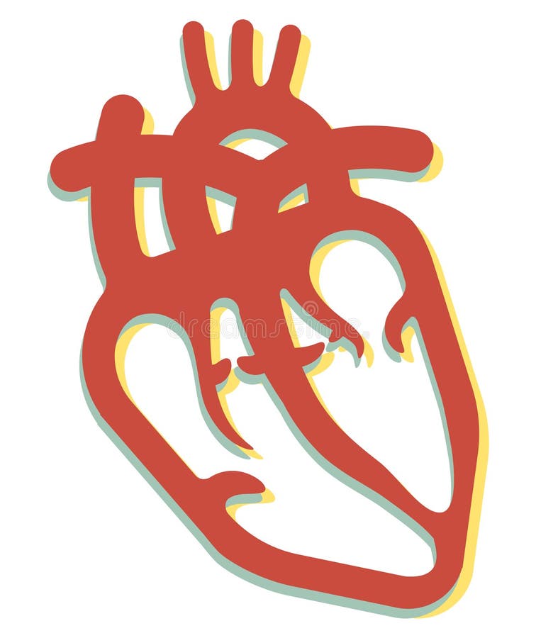Human Heart with Chambers Icon Stock Illustration - Illustration of ...