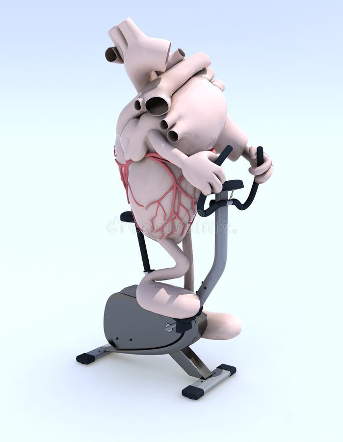 Human Heart Cycle Machine Stock Illustrations – 14 Human Heart Cycle ...