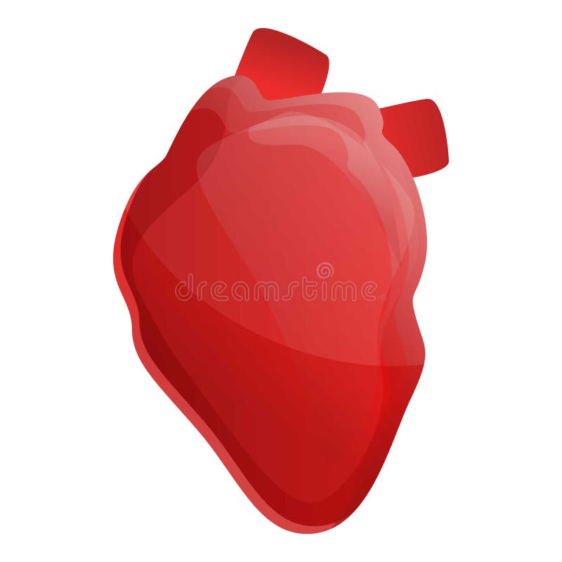 Cardiology Human Heart Icon, Cartoon Style Stock Vector - Illustration ... Cardiology Human Heart Icon, Cartoon Style Stock Vector - Illustration ...