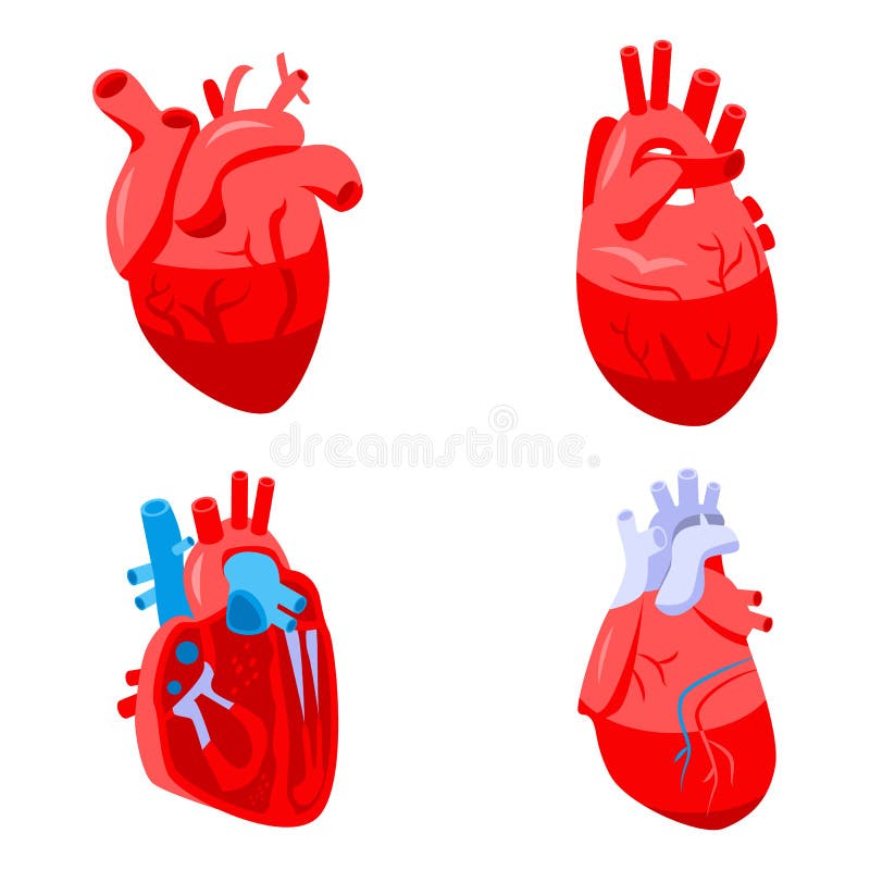 Isometric Human Heart Stock Illustrations – 2,781 Isometric Human Heart ...