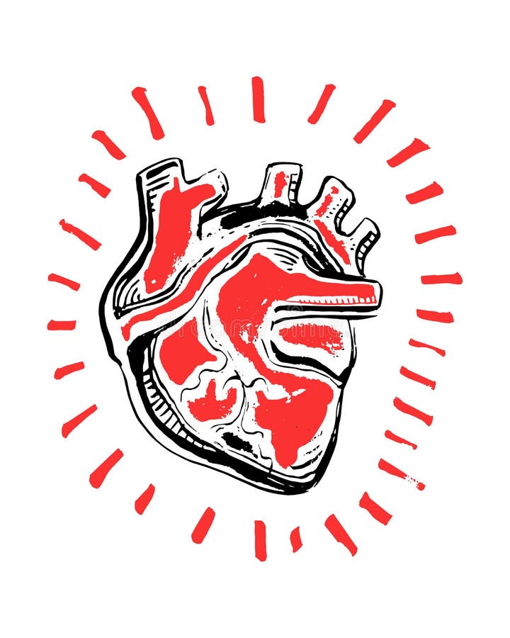 Human Heart Symbol Vector Ink Illustration Stock Vector - Illustration ...