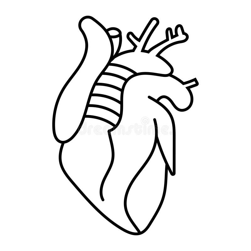 Human Heart Internal Organs Line Art Icon for Apps or Website Stock ...