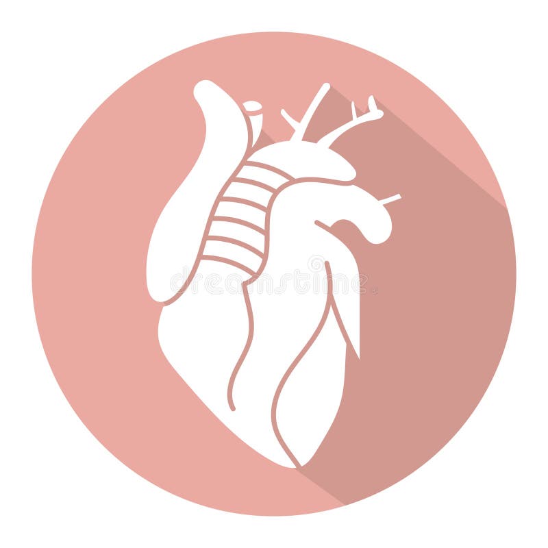 Human Heart Internal Organs Vector Icon on a Round Red Background for ...