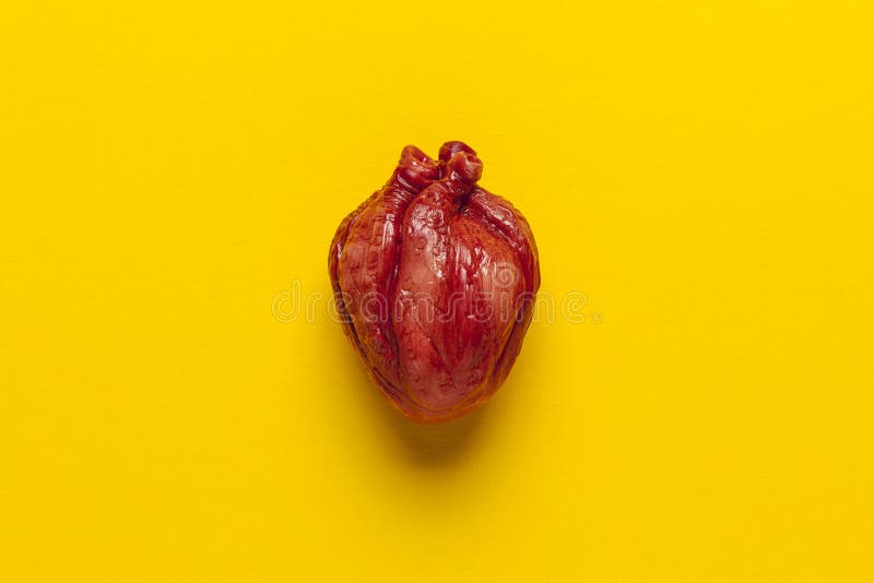 Human Heart Isolated on Yellow Background. Heart Attack, Failure Stock ...