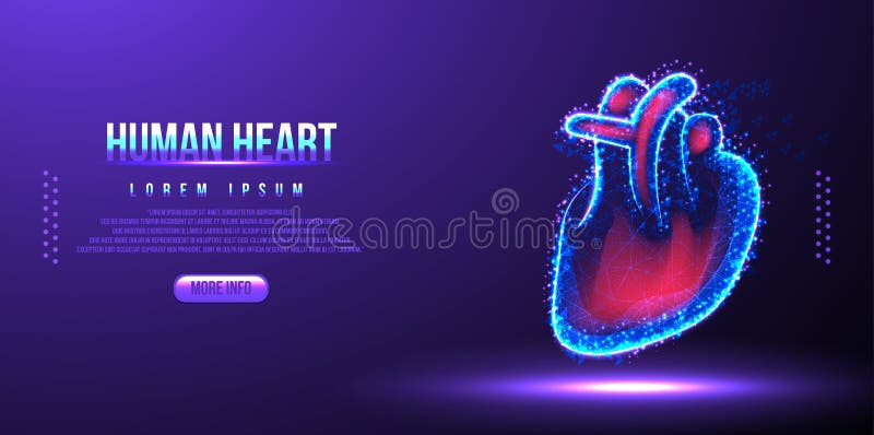 Wireframe Human Heart Stock Illustrations – 555 Wireframe Human Heart ...