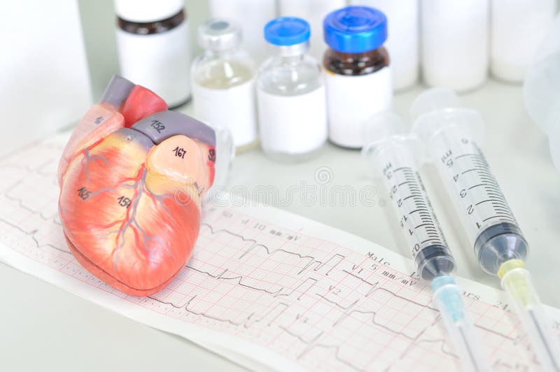 Human heart model stock image. Image of science, research - 48509937