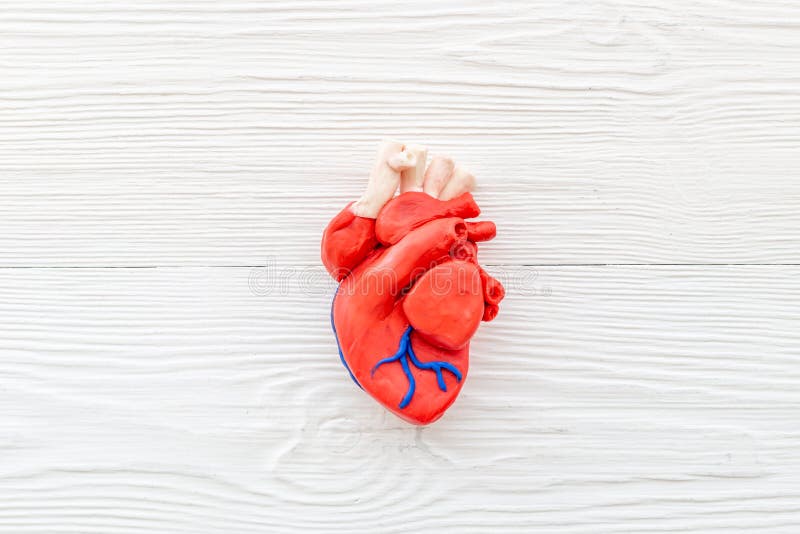 Human Heart Model Made of Plastiline, Top View Stock Image - Image of ...