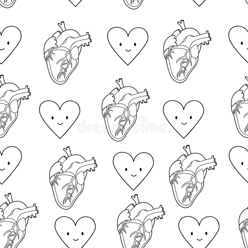 Human heart contour stock vector. Illustration of graphic - 103084511