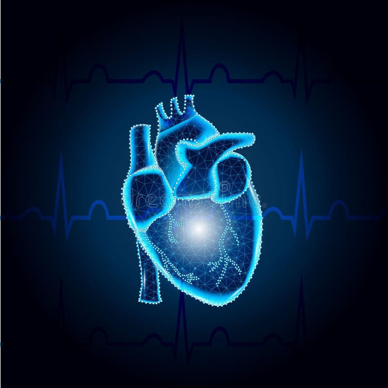 Human Heart Polygon on ECG Blue Mesh 1 Stock Vector - Illustration of ...