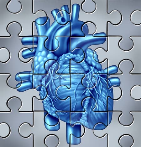 Human Heart Puzzle stock illustration. Illustration of biology - 22806196