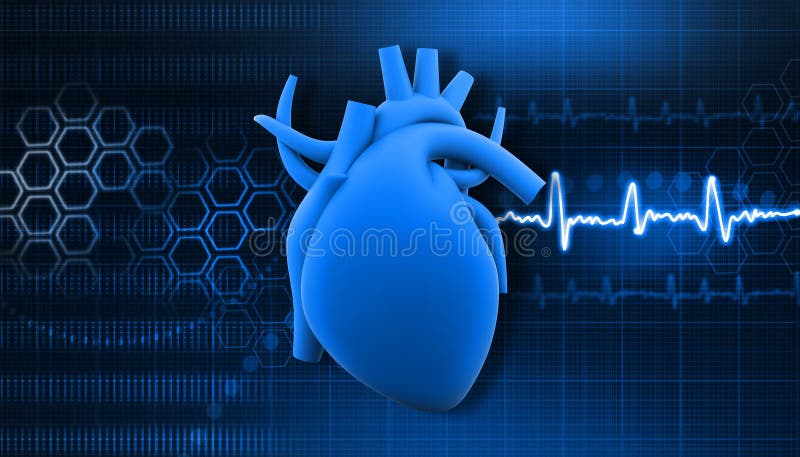 Human heart stock illustration. Illustration of coronary - 50691607