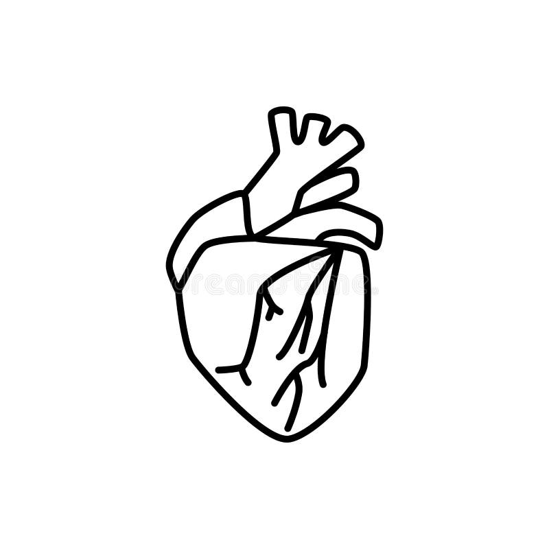 Human Heart Sign. Simple Line Vector Icon Stock Vector - Illustration ...