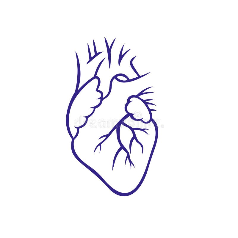 Human Heart Symbol. Vector Illustration Stock Vector - Illustration of ...
