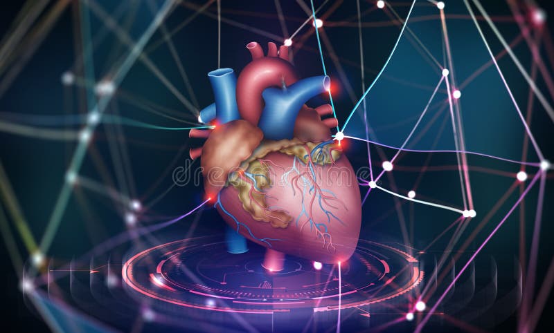 Human Heart Anatomy 3D Illustration. High Technology and Medical ...