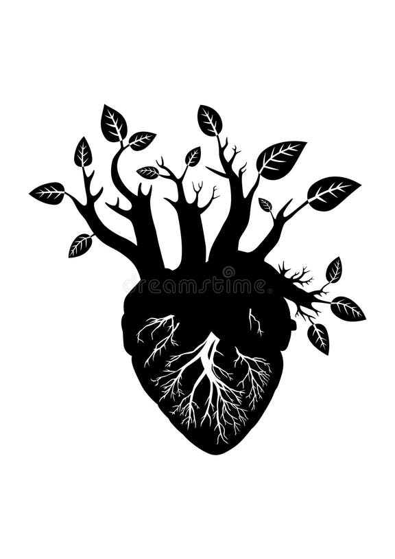The Human Heart of the Tree. Black and White Drawing of Heart of the ...