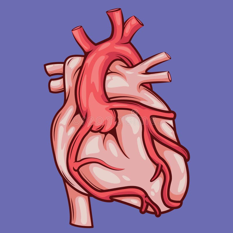 Human Heart. Vector Illustration Decorative Background Design Stock ...