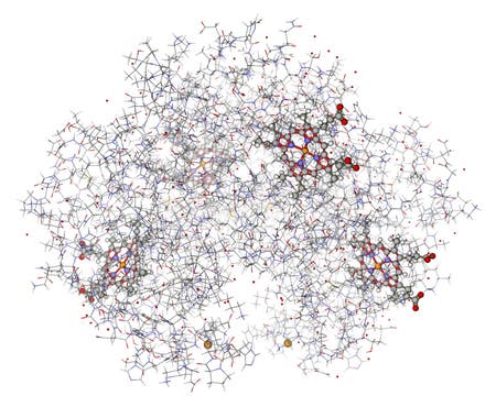 Human hemoglobin 3D model stock illustration. Illustration of carry ...