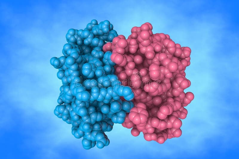 Human Hemoglobin 3d Model Stock Illustrations – 117 Human Hemoglobin 3d ...