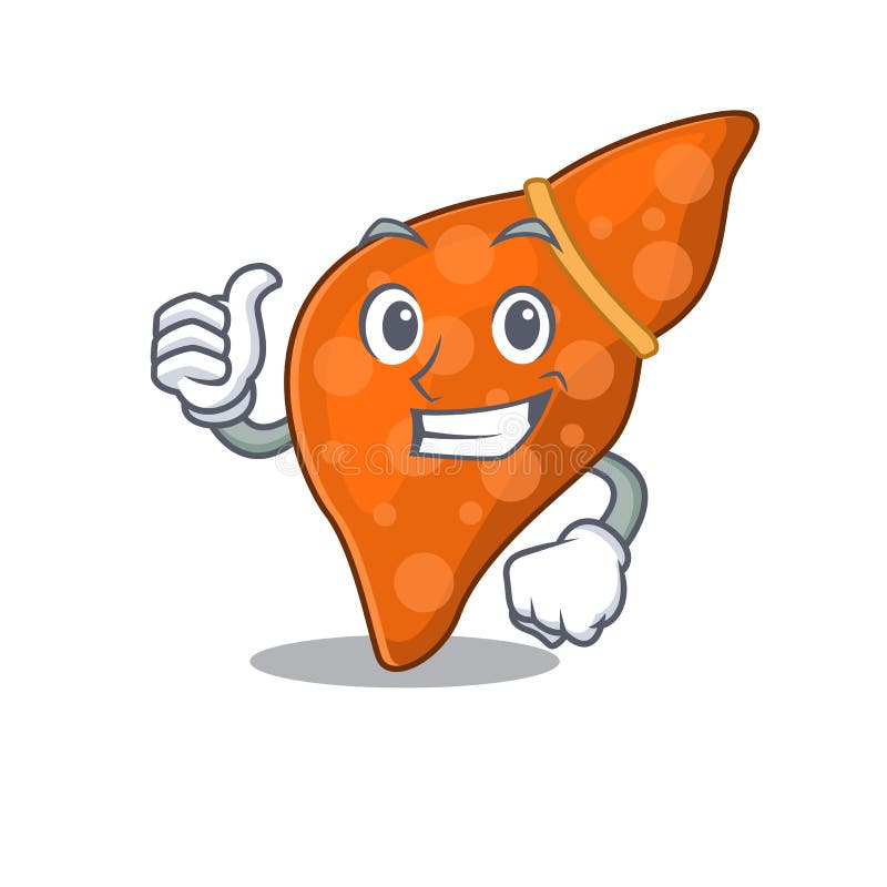 Human Hepatic Liver Cartoon Character Design Making OK Gesture Stock ...