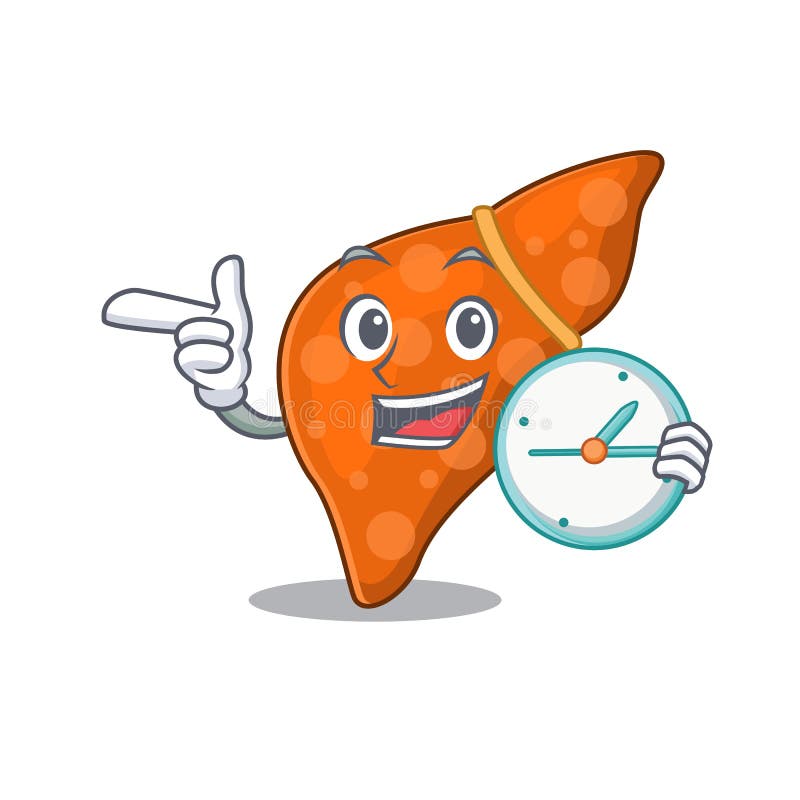 Liver Clock Stock Illustrations – 62 Liver Clock Stock Illustrations ...