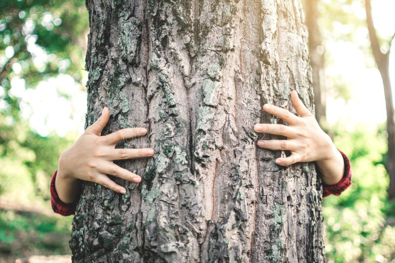 Human Hugging Big Tree Color of Hipster Tone Selective Soft Focus Stock ...