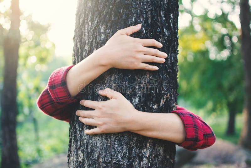 Human Hugging Big Tree Color of Hipster Tone Selective Soft Focus Stock ...