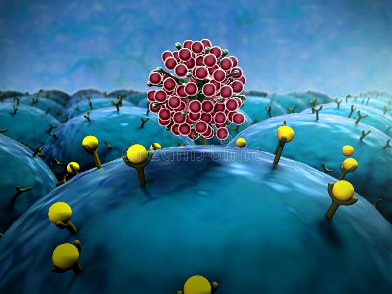 Immune System Cells Cartoon Stock Illustrations – 99 Immune System ...