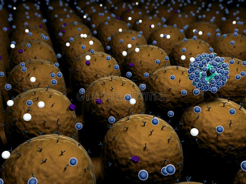 Human Immune System Attack the Virus Stock Illustration - Illustration ...