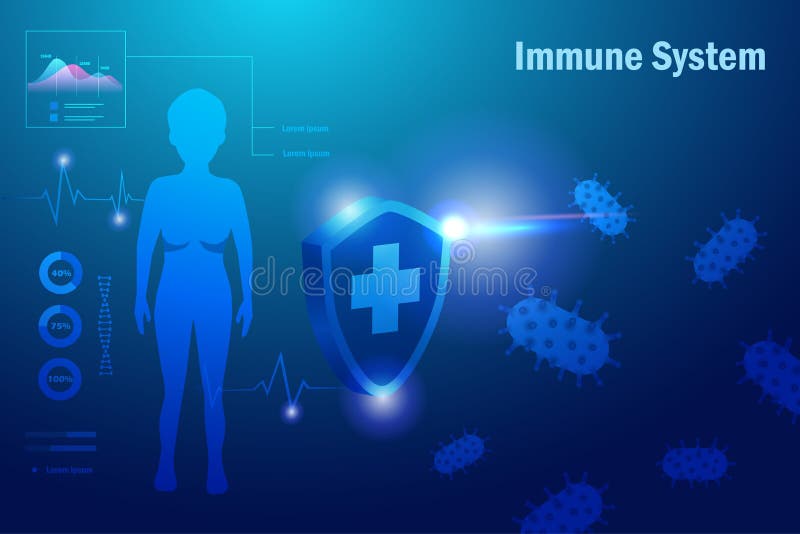 Human Immune System Shield Protect From Infectious Diseases Bacteria