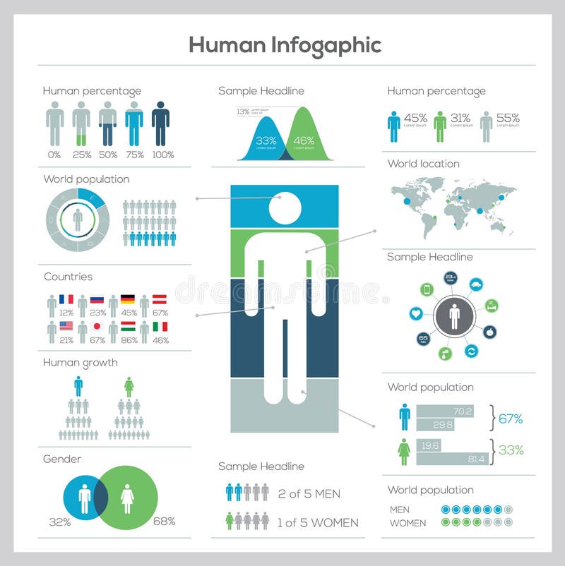 Human Infographic Vector Illustration. Stock Vector - Illustration of ...