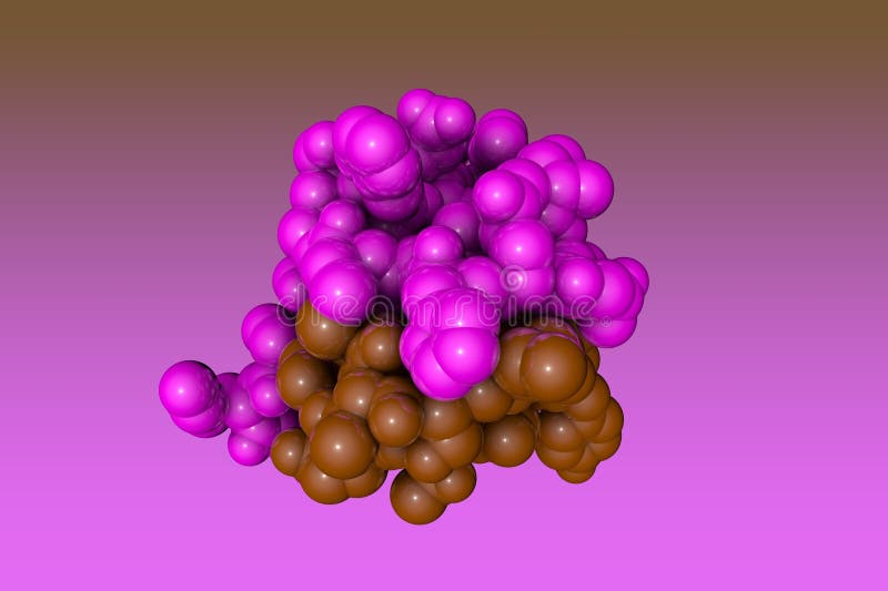 Human Insulin. Space-filling Molecular Model. 3d Illustration Stock ...