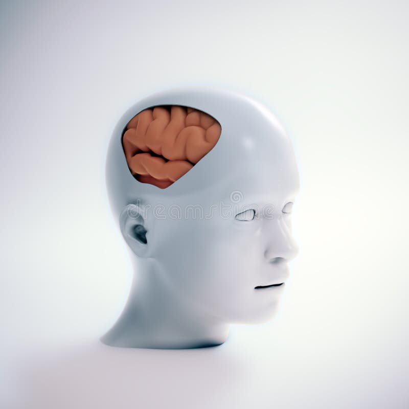 Human Intelligence and Psychological Development Stock Illustration ...