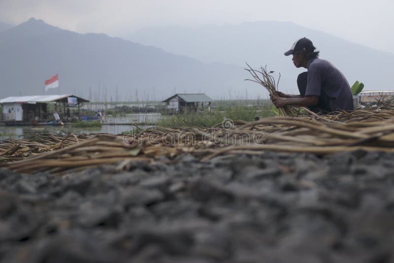 Human interest Image editorial image. Image of night - 111017355