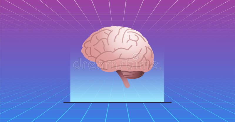 Human Internal Organ Anatomical Brain and Human Brain Medical Concept ...