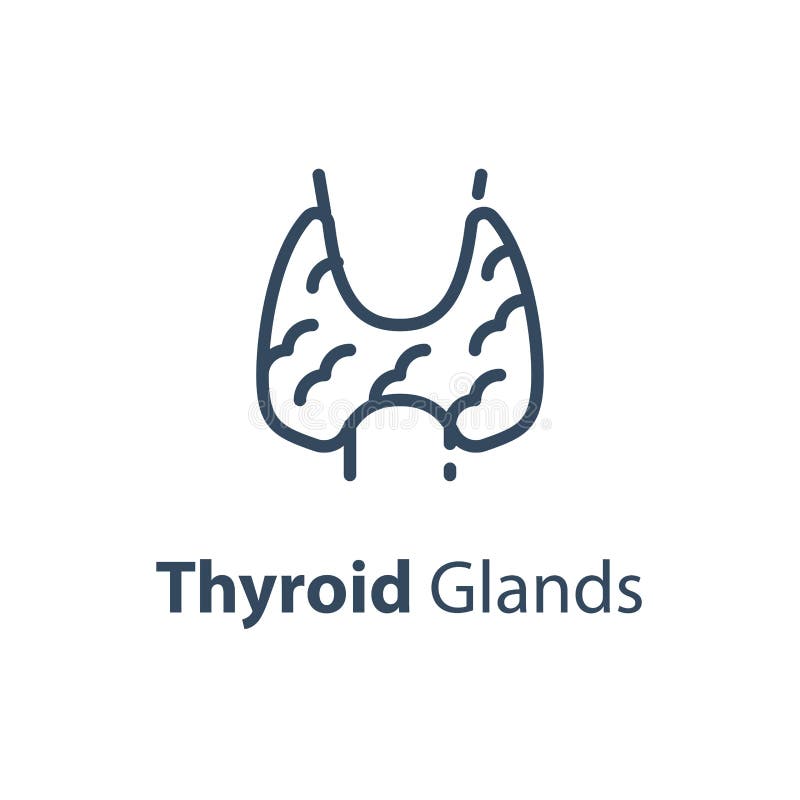 Human Internal Organ, Thyroid Glands Concept, Vector Line Icon Stock ...