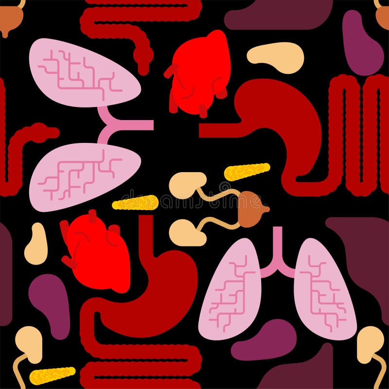 Human Internal Organs Pattern Seamless. Anatomy Background. Systems of ...