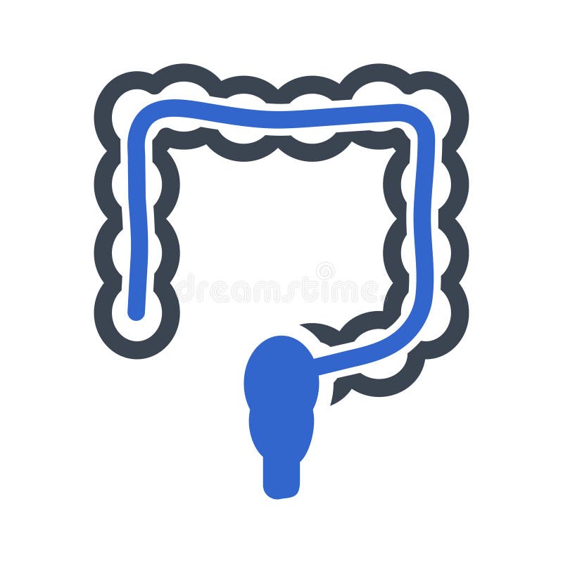 Human intestine icon stock vector. Illustration of symbol - 209740169
