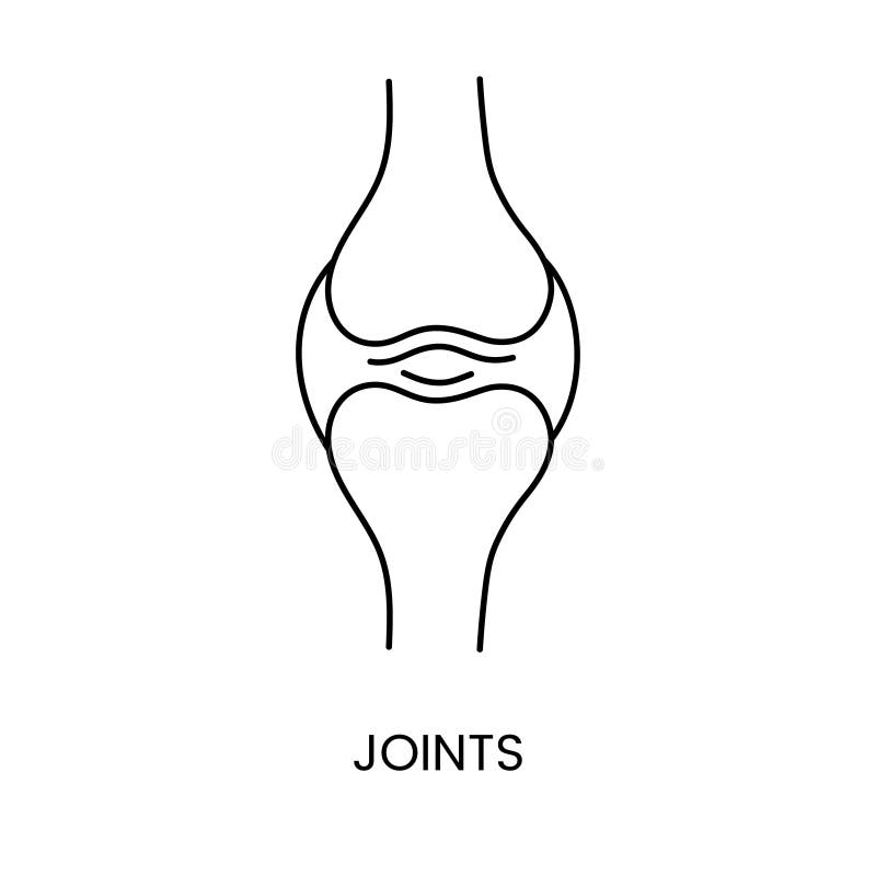 Human Joint Anatomical Line Icon in Vector, Illustration of Surface ...