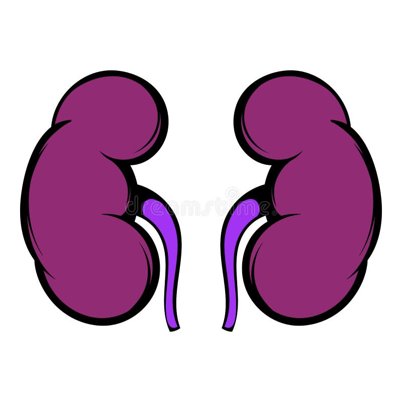 Human Kidney Icon, Icon Cartoon Stock Vector - Illustration of ...