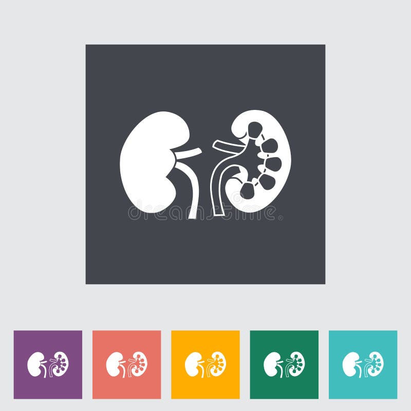 Human Kidney. stock vector. Illustration of flat, silhouette - 92418207