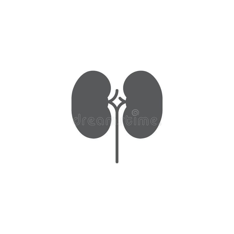 Human Kidney Vector Icon Symbol Isolated on White Background Stock ...