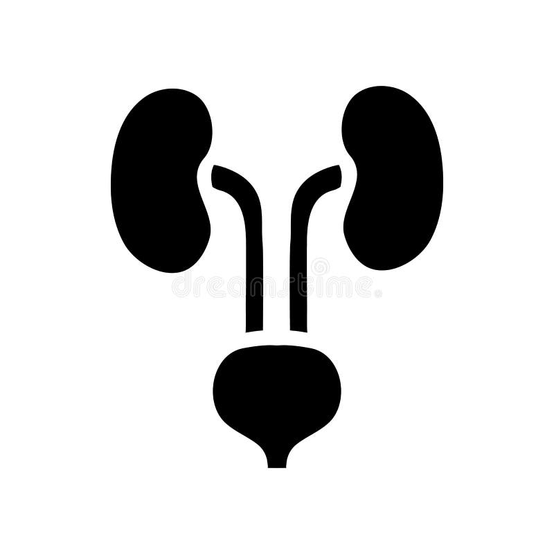 Bladder Icon Stock Illustrations – 9,094 Bladder Icon Stock ...