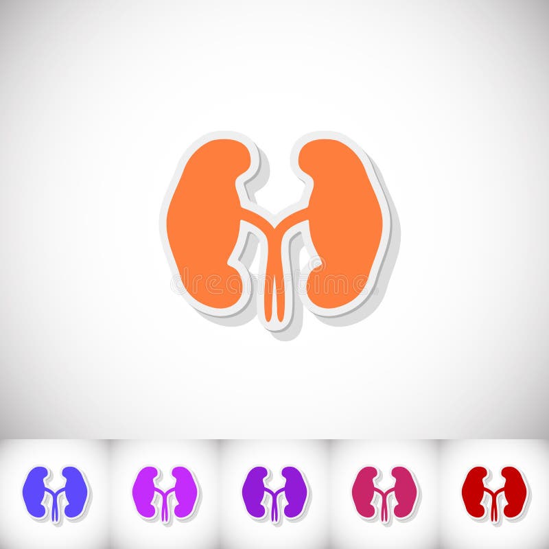 Gray Kidneys Stock Illustrations – 80 Gray Kidneys Stock Illustrations ...