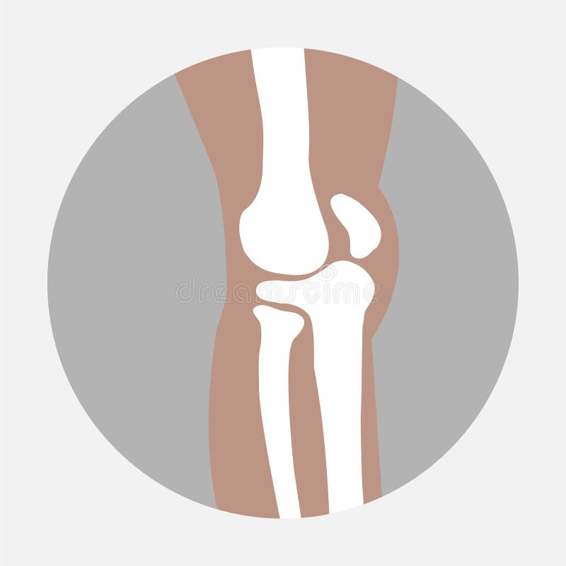 Human knee joint stock vector. Illustration of bone, injury - 84930507