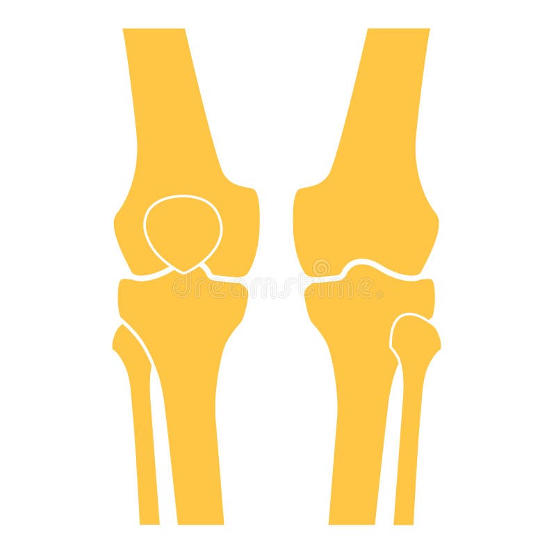 Human Knee Leg Front and Back View. Vector Illustration Stock Vector ...