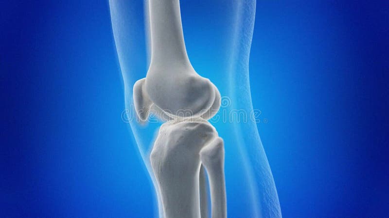 Human Knee Joint Animation with Medical Scan Background Stock Video ...