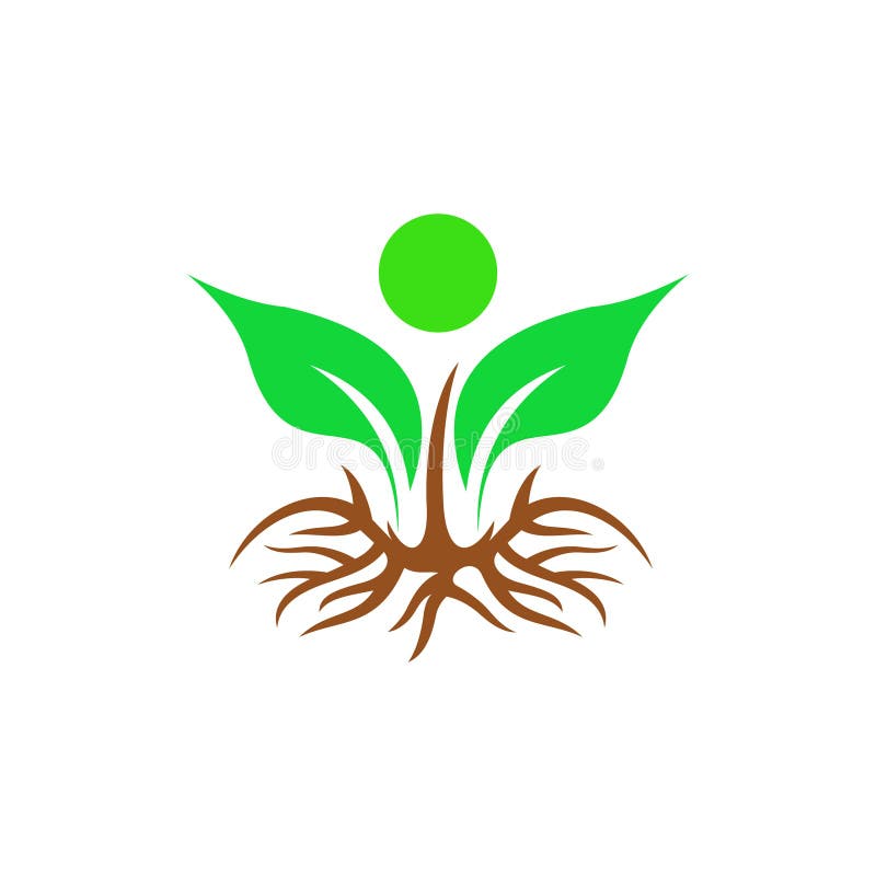 Human Leaf Root Logo, Abstract, Healthy Logo Vector Illustration Design ...
